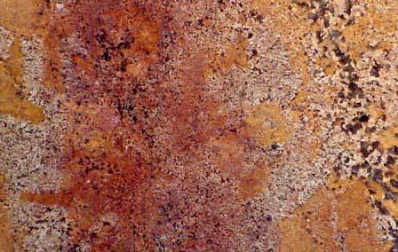 Granite Slab | The Surface Collection